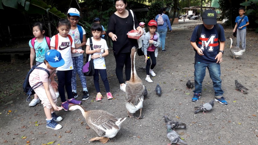 About Us - Little Stars Academy