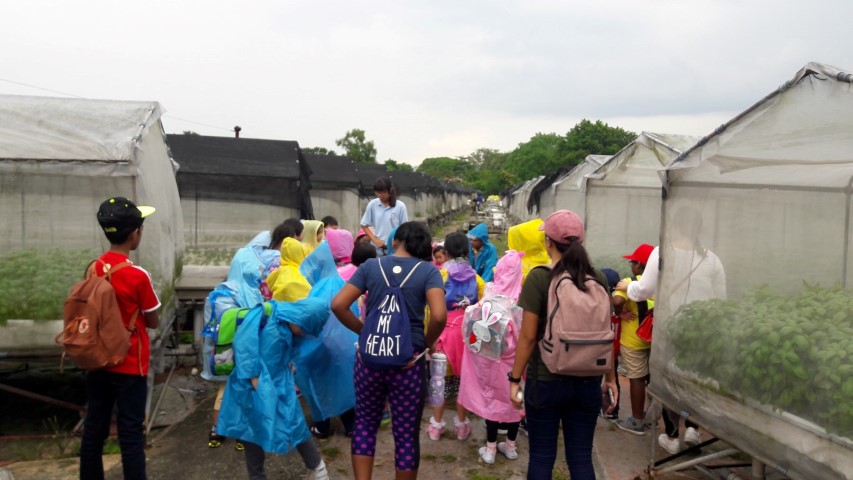 About Us - Little Stars Academy